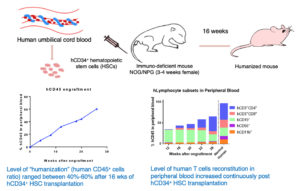Humanized Mouse Models - PharmaLegacy | Preclinical Pharmacology CRO